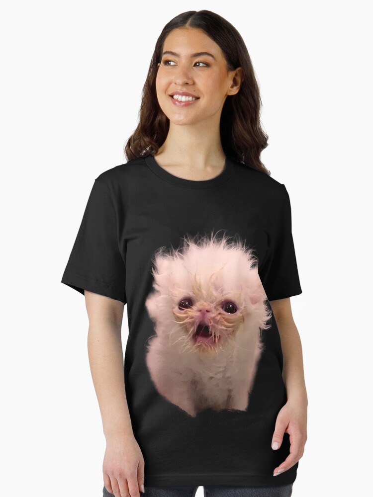 "Wisp Cat Meme " Essential T-Shirt for Sale by Reo12 | Redbubble