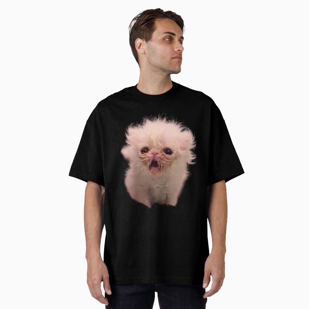 "Wisp Cat Meme " Essential T-Shirt for Sale by Reo12 | Redbubble