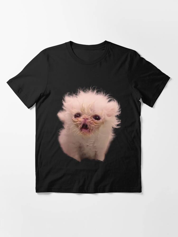 "Wisp Cat Meme " Essential T-Shirt for Sale by Reo12 | Redbubble