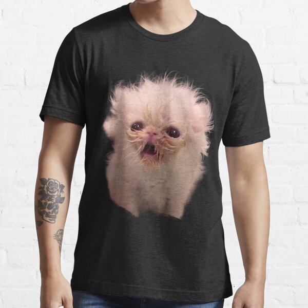 "Wisp Cat Meme " Essential T-Shirt for Sale by Reo12 | Redbubble