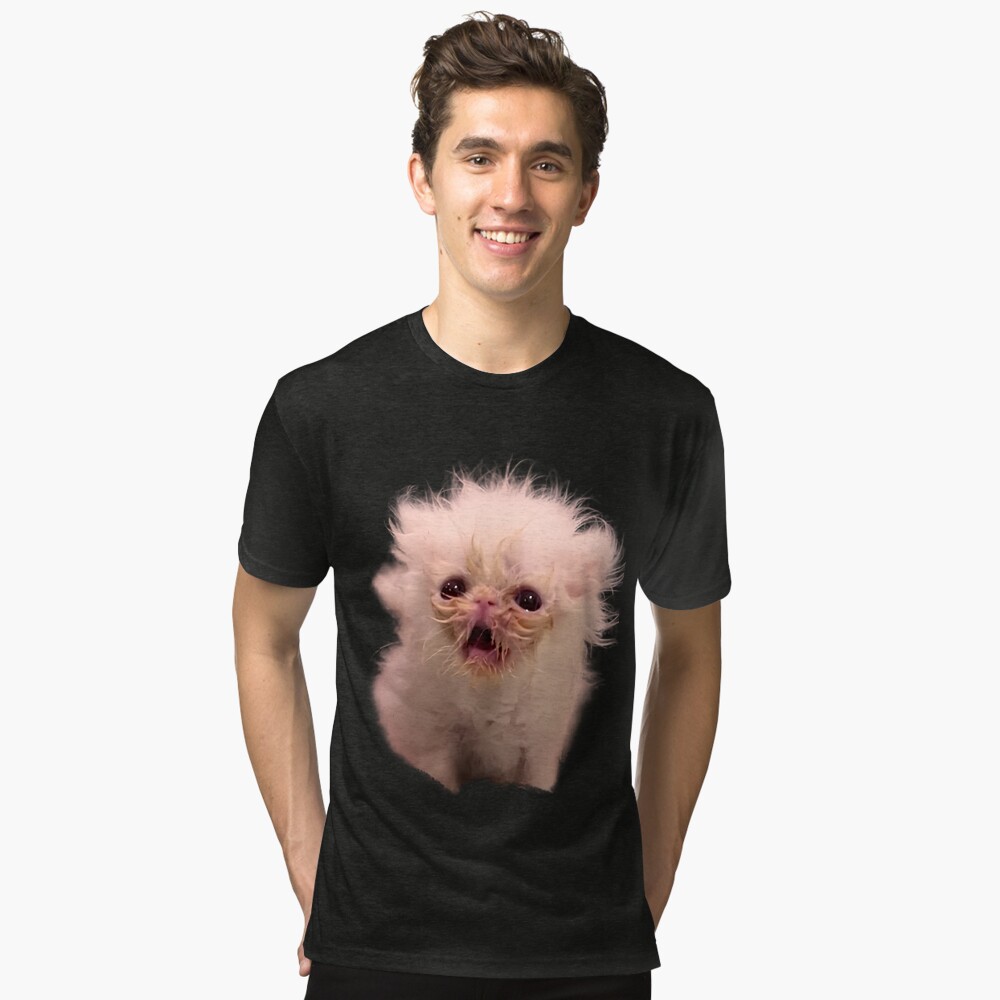 "Wisp Cat Meme " Essential T-Shirt for Sale by Reo12 | Redbubble
