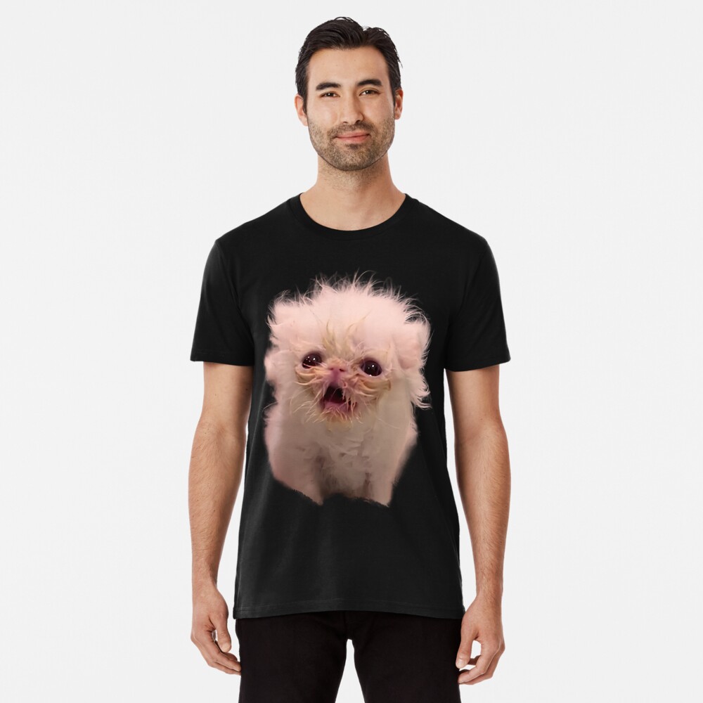 "Wisp Cat Meme " Essential T-Shirt for Sale by Reo12 | Redbubble
