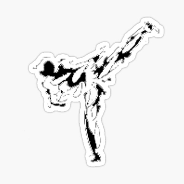 "TAEKWONDO - KICK" Sticker for Sale by thnatha | Redbubble