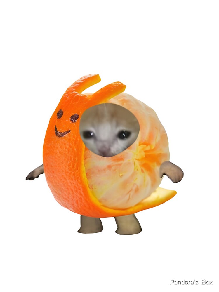 Samsung Galaxy Handyhülle for Sale mit "Orangefarbene Schneckenkatze ...