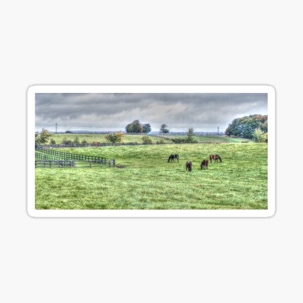 "Grazing Pastures" Sticker by LMontgomery | Redbubble