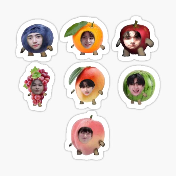 "Enhypen Fruits Meme Pack (Chamber 5)" Sticker for Sale by lilymarg ...