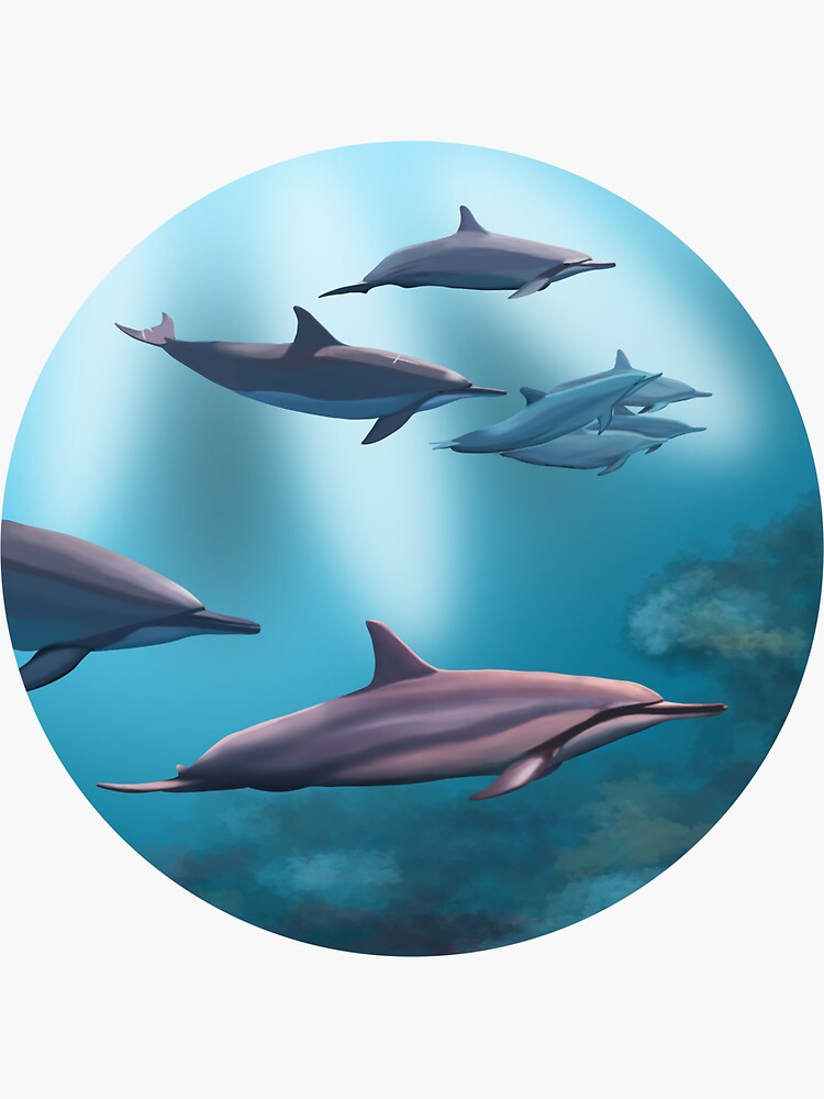 "Spinner dolphin pod" Sticker for Sale by Umi-Kai-Designs | Redbubble