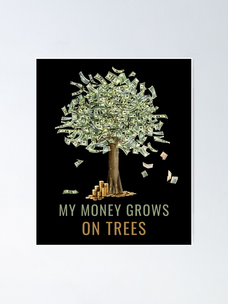 Money Tree Quotes Amazon.com : Chinese Money Tree Live Plant Pachira
