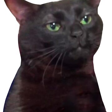 "cat zoning out sticker" Sticker for Sale by beestnaji | Redbubble