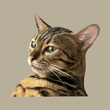 "Judging cat face meme" Sticker for Sale by snadesign | Redbubble