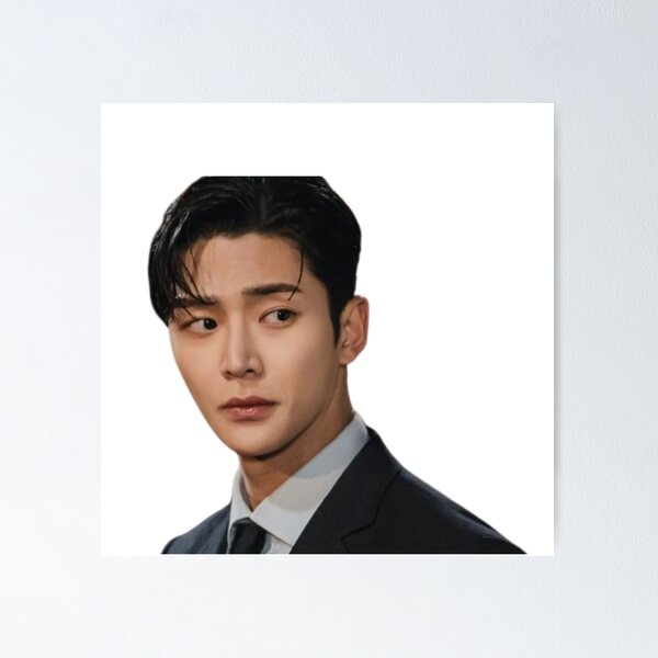"Rowoon Destined With You" Poster for Sale by Vorin Arts | Redbubble