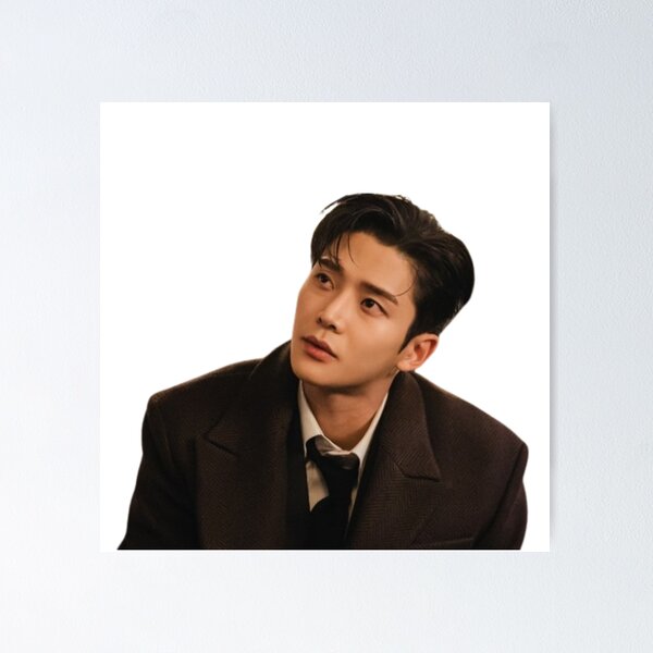 "Rowoon Destined With You" Poster for Sale by Vorin Arts | Redbubble