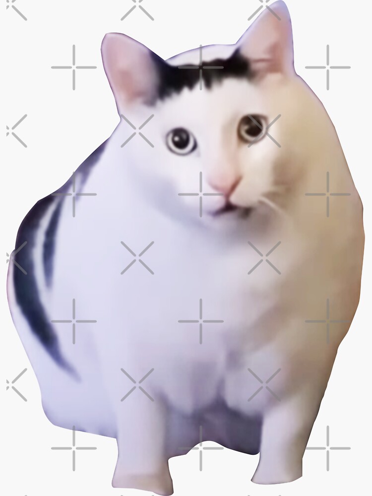 "Huh Cat Chonky Ben Meme " Sticker for Sale by LeChocoholic | Redbubble