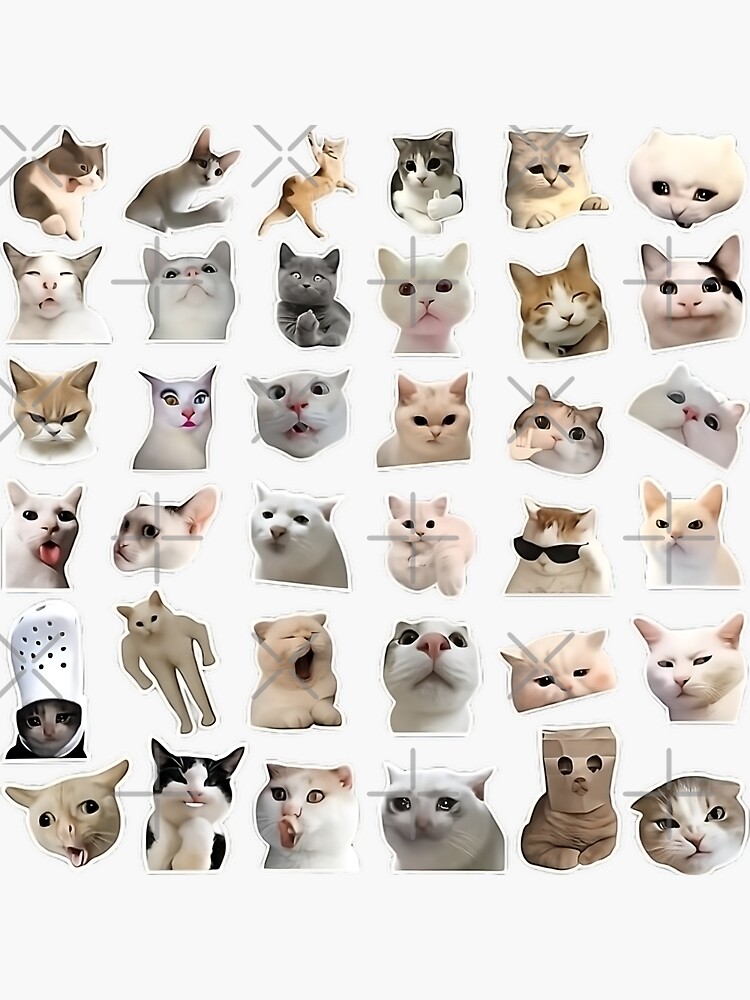 "Meme Cat" Sticker for Sale by deadlock41 | Redbubble