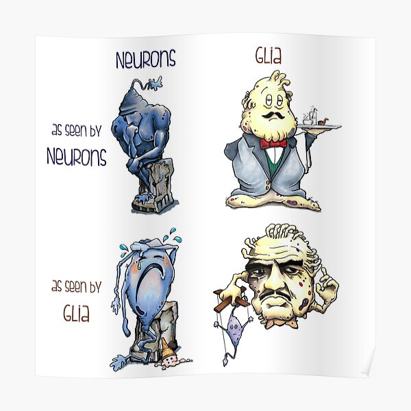 "Best of brain friends" Poster by DrawnToTheSea | Redbubble