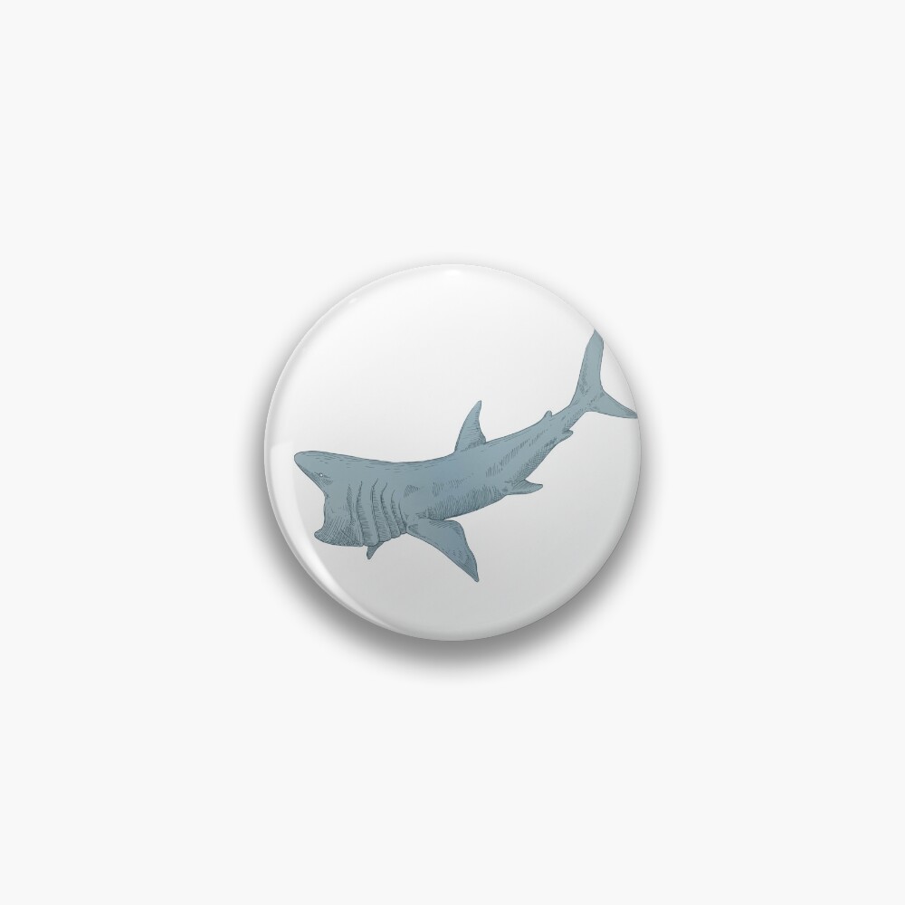 "Basking Shark" Sticker for Sale by caroline-arts5 | Redbubble