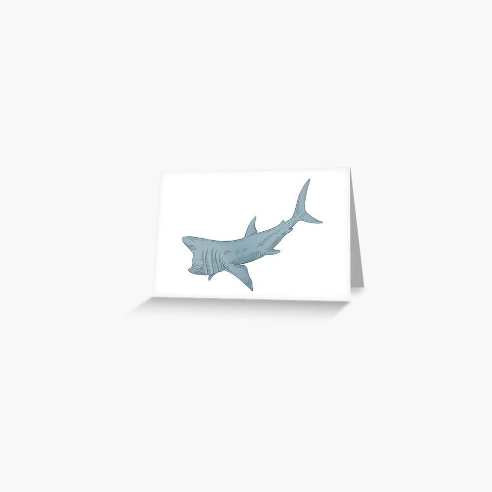"Basking Shark" Sticker for Sale by caroline-arts5 | Redbubble