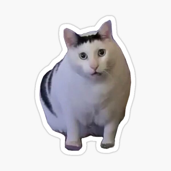 "cat Bender sits and meows ,meme" Sticker for Sale by AlinaGil | Redbubble