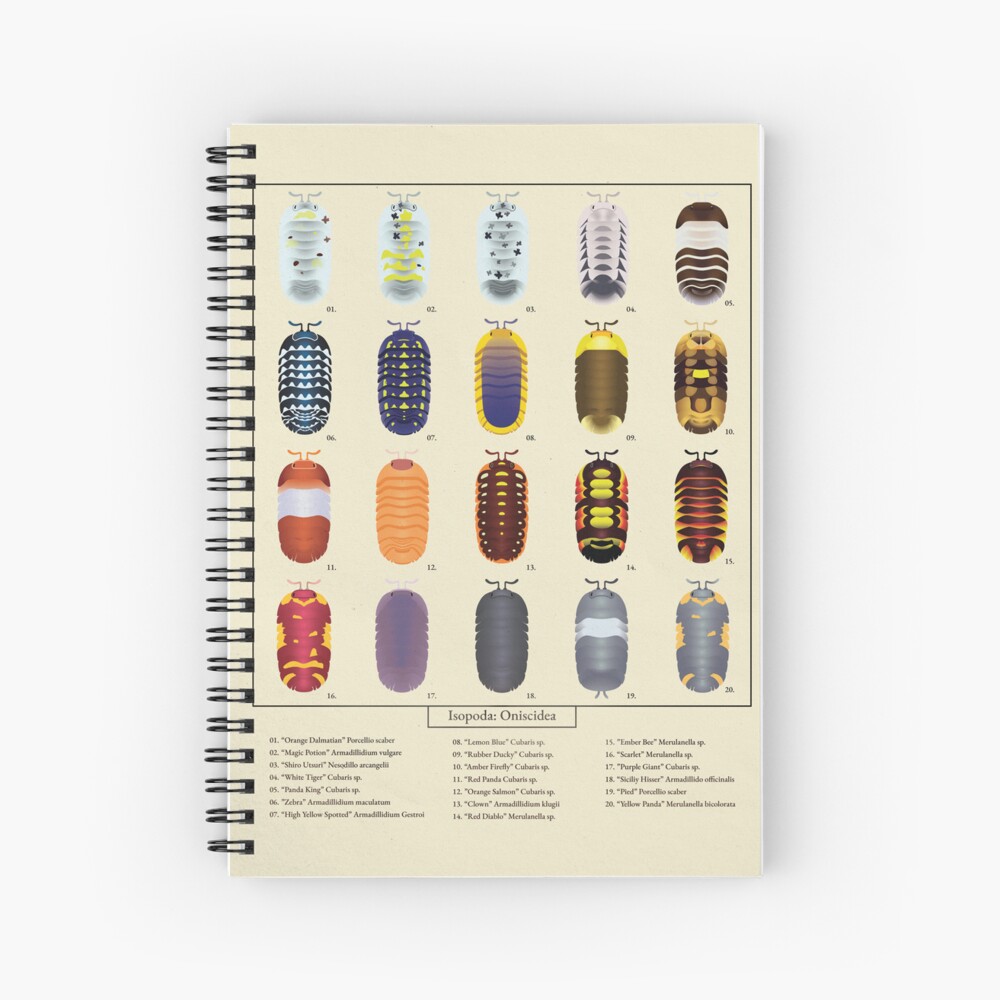 "Isopod Color Chart" Sticker for Sale by SamDaytonArt | Redbubble