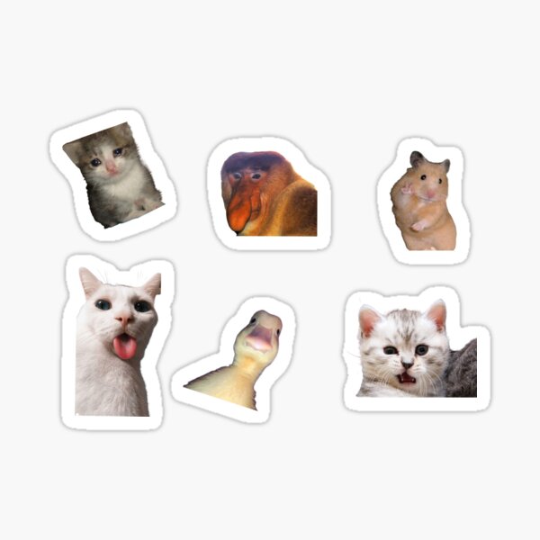 "Stickers Pack, MEME animal Pack, funny" Sticker for Sale by ...