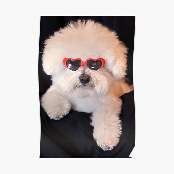 "Waz up ?" Poster by jggrant | Redbubble