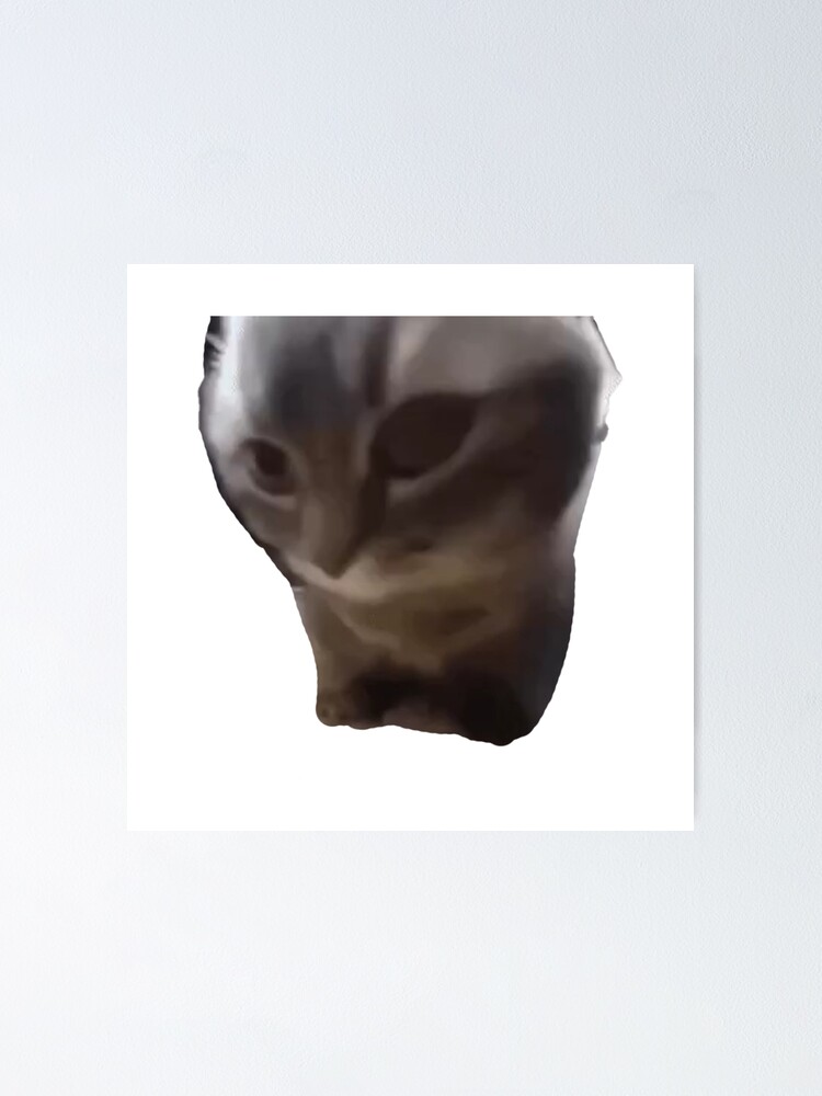 "CHIPI CHIPI CHAPA CHAPA DUBI DUBI Cat | TikTok Meme" Poster for Sale ...