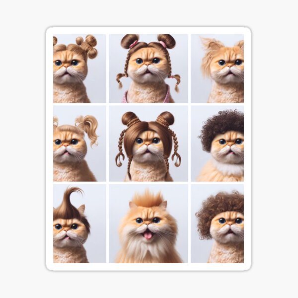 "cute cats steckers cat canine" Sticker for Sale by boujema | Redbubble