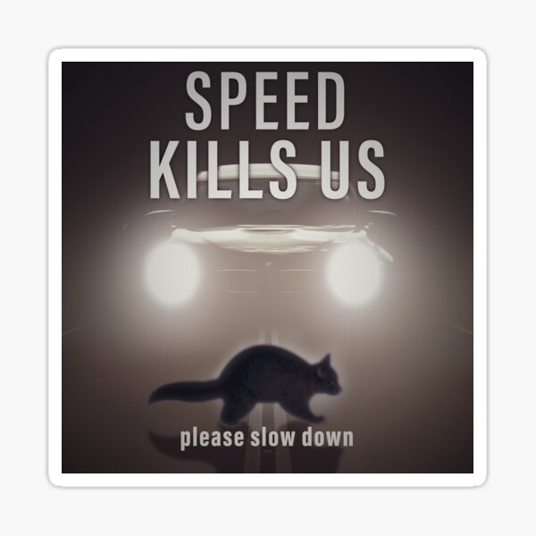 Speed Kills Stickers | Redbubble