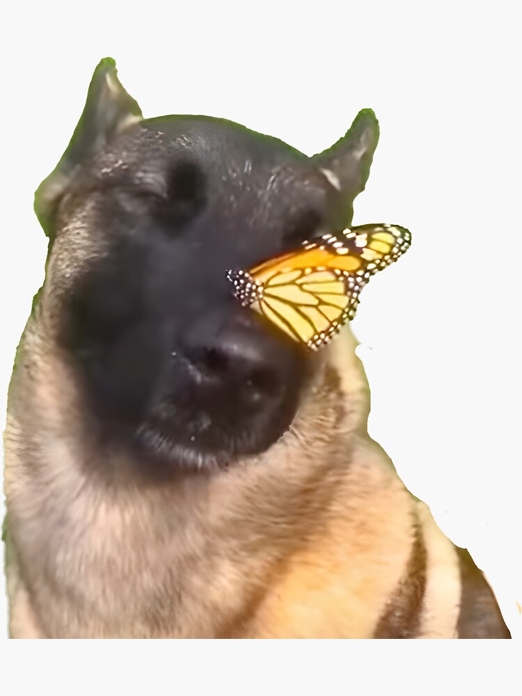 "I Have No Enemies | Butterfly & Dog | TikTok Meme" Sticker for Sale by ...