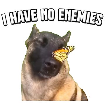 "I Have No Enemies | TikTok Meme | Dog with Butterfly" Sticker for Sale ...