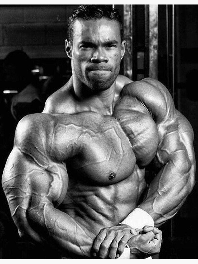 "kevin levrone" Sticker for Sale by SidneyTic | Redbubble