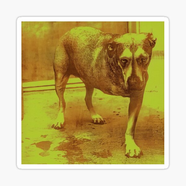 "The Sad Dog" Sticker for Sale by MissTheMoth | Redbubble