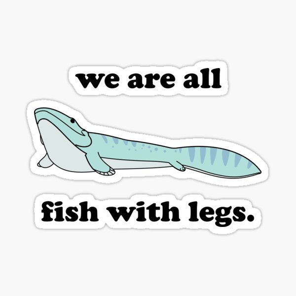"We are all fish with legs" Sticker for Sale by ScienceCorner | Redbubble