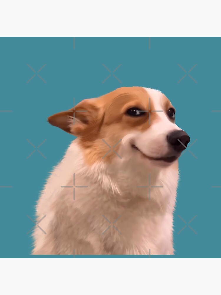 Sly Smile Memes Sly Smiling Dog Meme Photographic Print