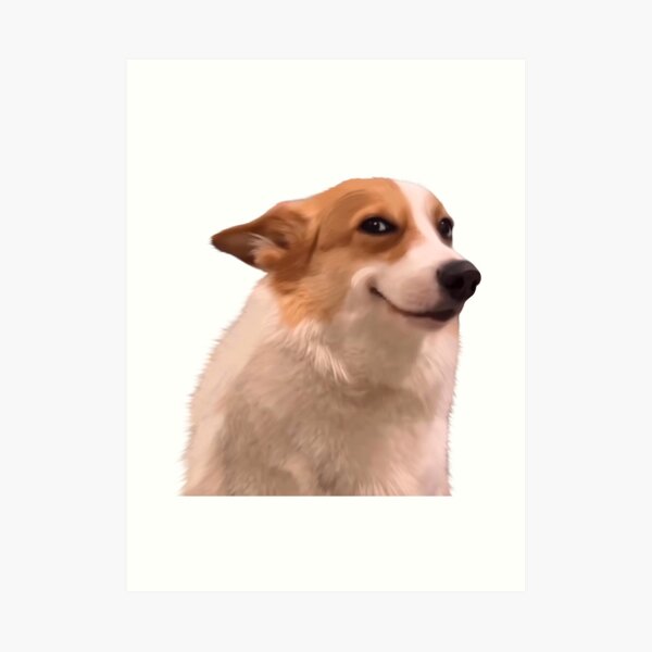 "Sly smiling dog Meme" Art Print for Sale by DariaMiller | Redbubble