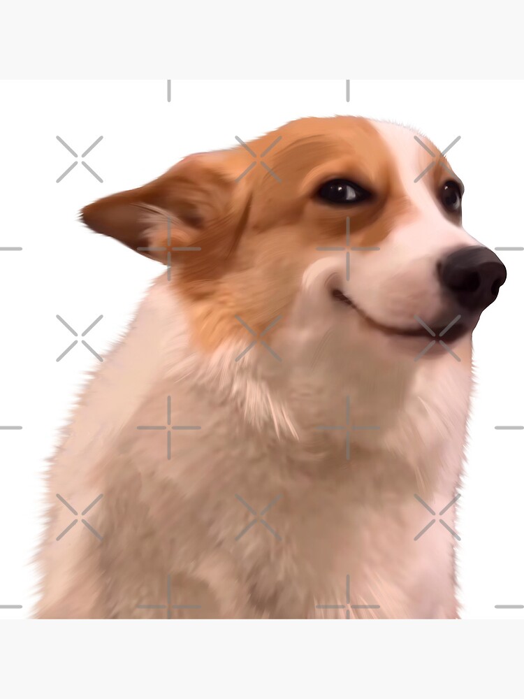 "Sly smiling dog Meme" Poster for Sale by DariaMiller | Redbubble