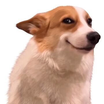 Perro Sonriendo Meme