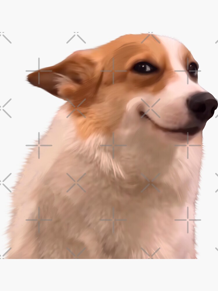 "Sly smiling dog Meme" Sticker for Sale by DariaMiller | Redbubble