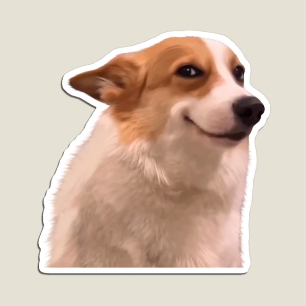 Meme De Perro Zorro Astuto 🔥 Un Zorro Curioso Echa Un Vistazo A Mi