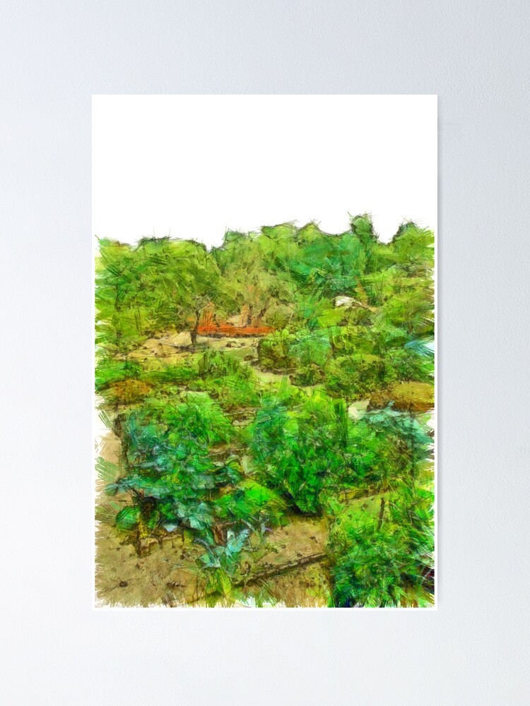 "Vegetable garden" Poster by giuseppecocco | Redbubble