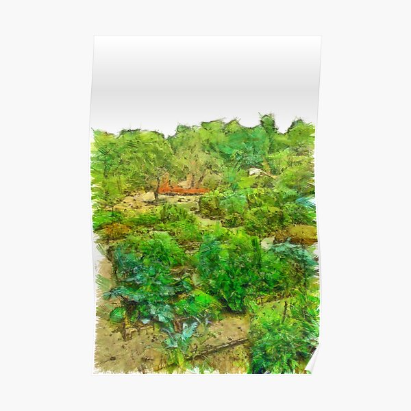 "Vegetable garden" Poster by giuseppecocco | Redbubble