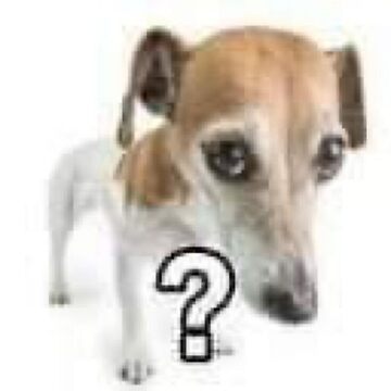 "Dog and question mark?" Sticker for Sale by sillysprout | Redbubble