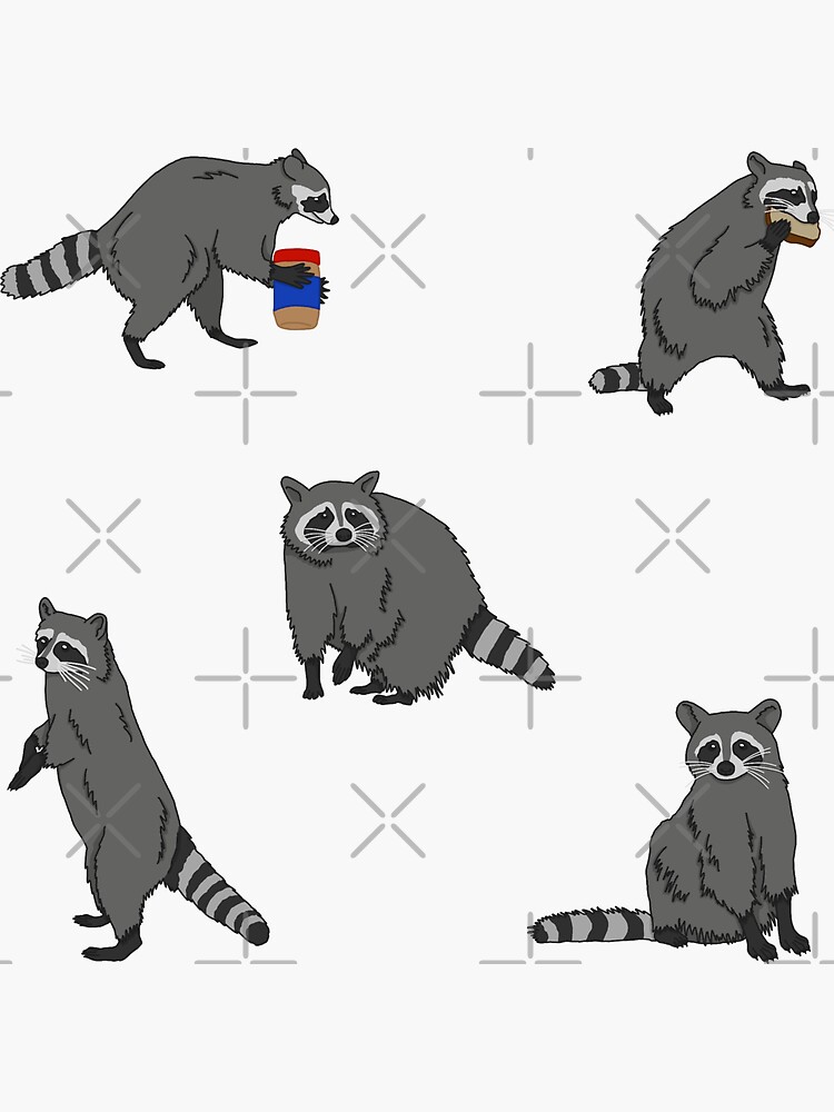 "Raccoon Pack" Sticker for Sale by emm416 | Redbubble