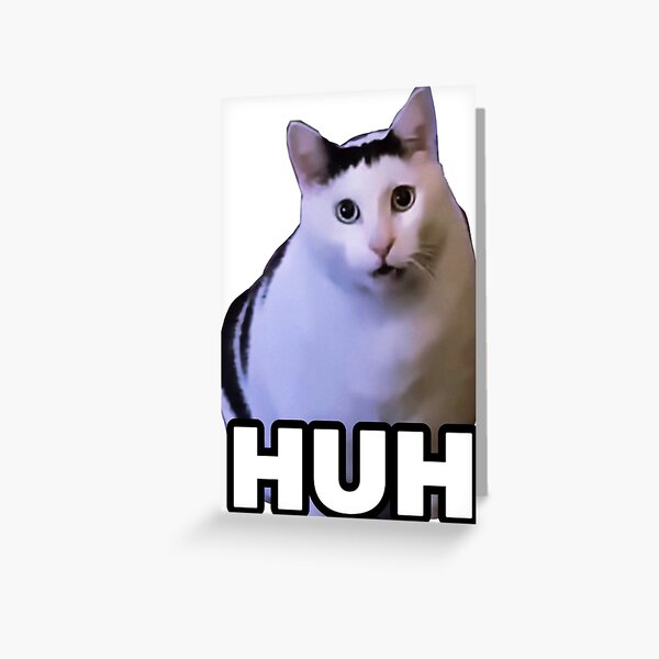"HUH Cat" Greeting Card for Sale by Lizgzalez | Redbubble