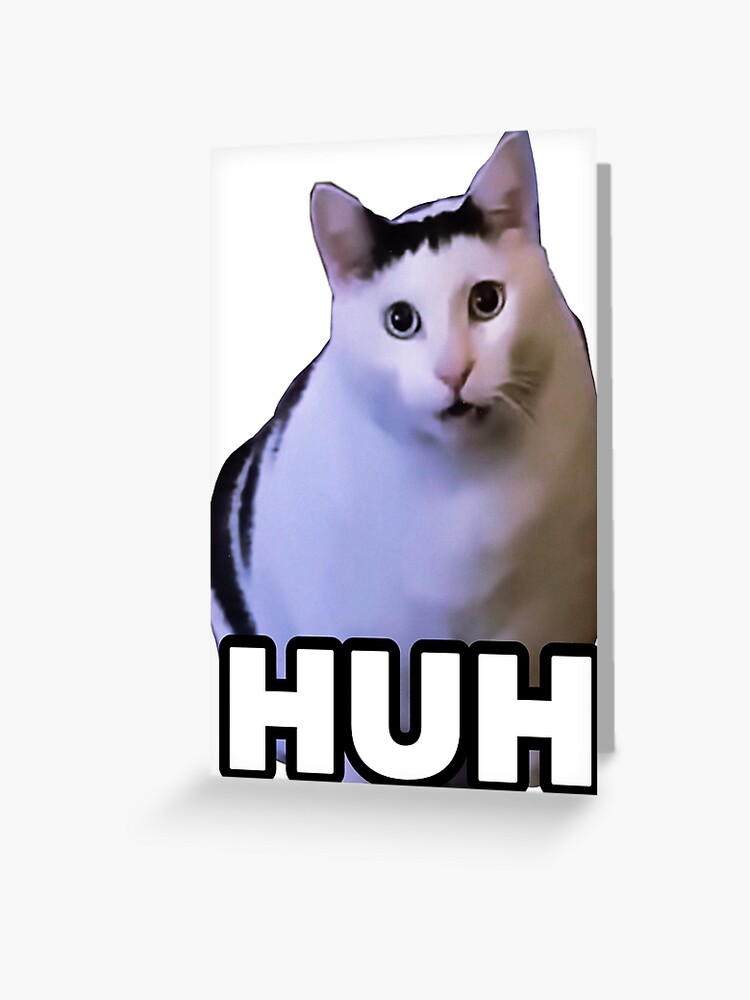 "HUH Cat" Greeting Card for Sale by Lizgzalez | Redbubble