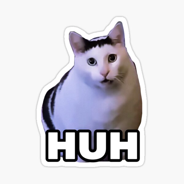 "Copy of HUH Cat" Sticker for Sale by Lizgzalez | Redbubble
