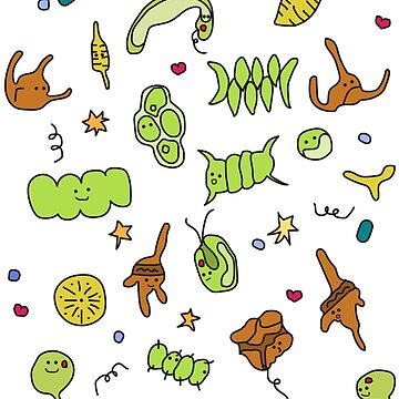 "Microalgae and cyanobacteria cartoon doodle, Cute Algae and Plankton ...