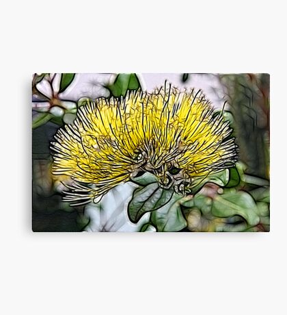Ohia Tree: Canvas Prints | Redbubble