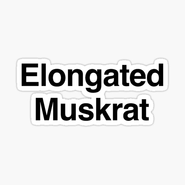 Muskrat Gifts & Merchandise | Redbubble
