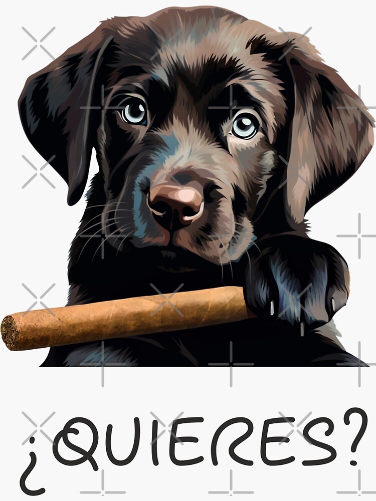 "Quieres Meme "You Want" Dog Holding Blunt Labrador Retriever Puppy ...